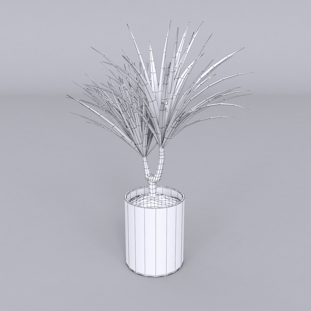 Plant Home Yucca 3d Model