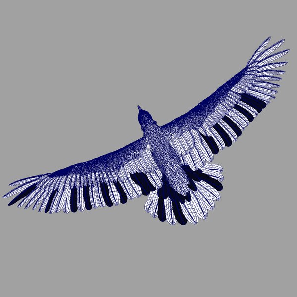 3d model realistic bald eagle