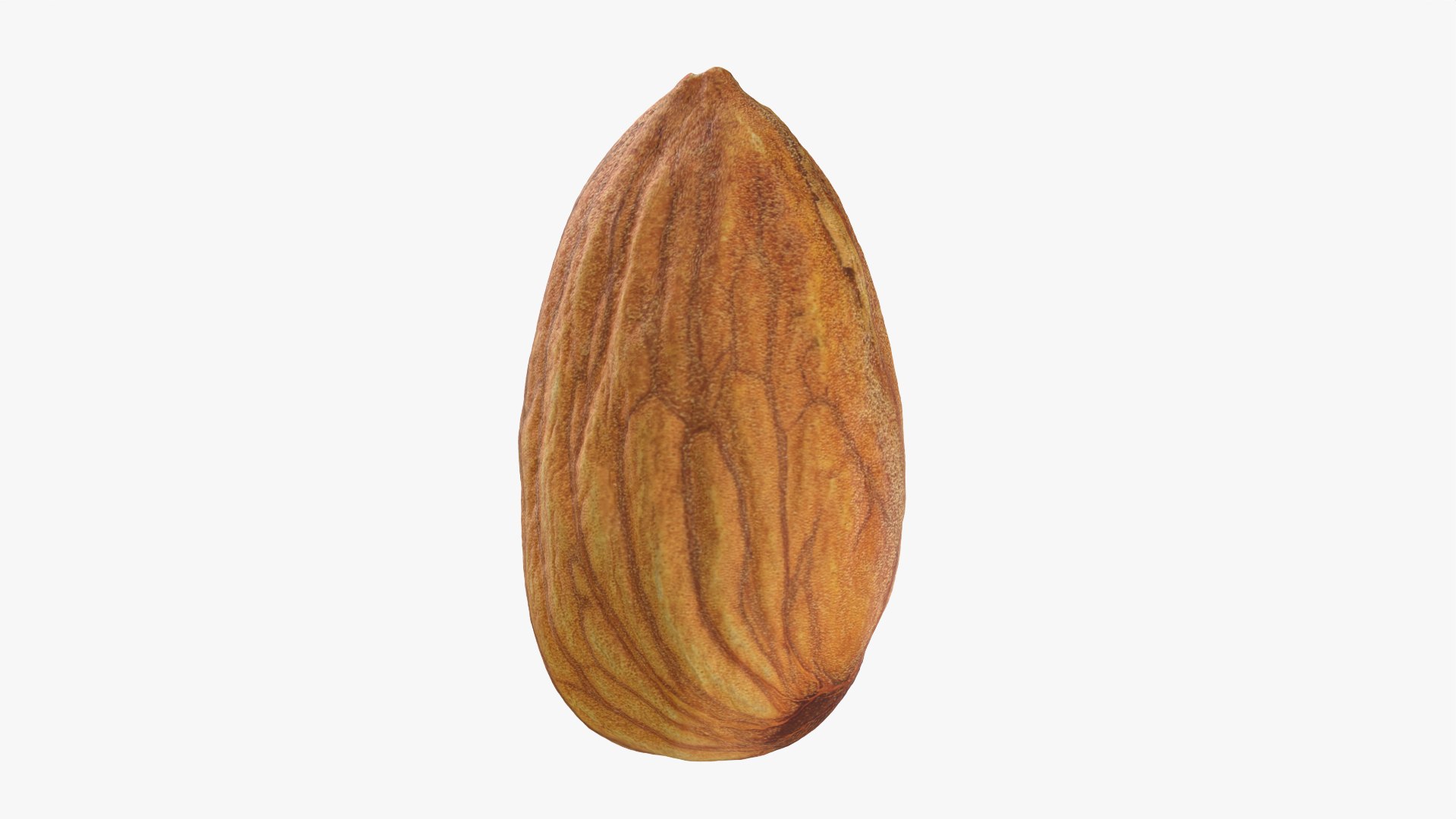 Almond Nut 01 - Raw Scan 3D Model - TurboSquid 2466055