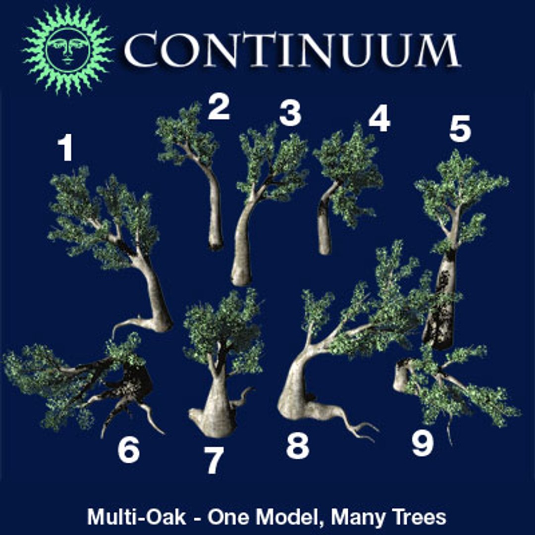tree oak lightwave single 3d model