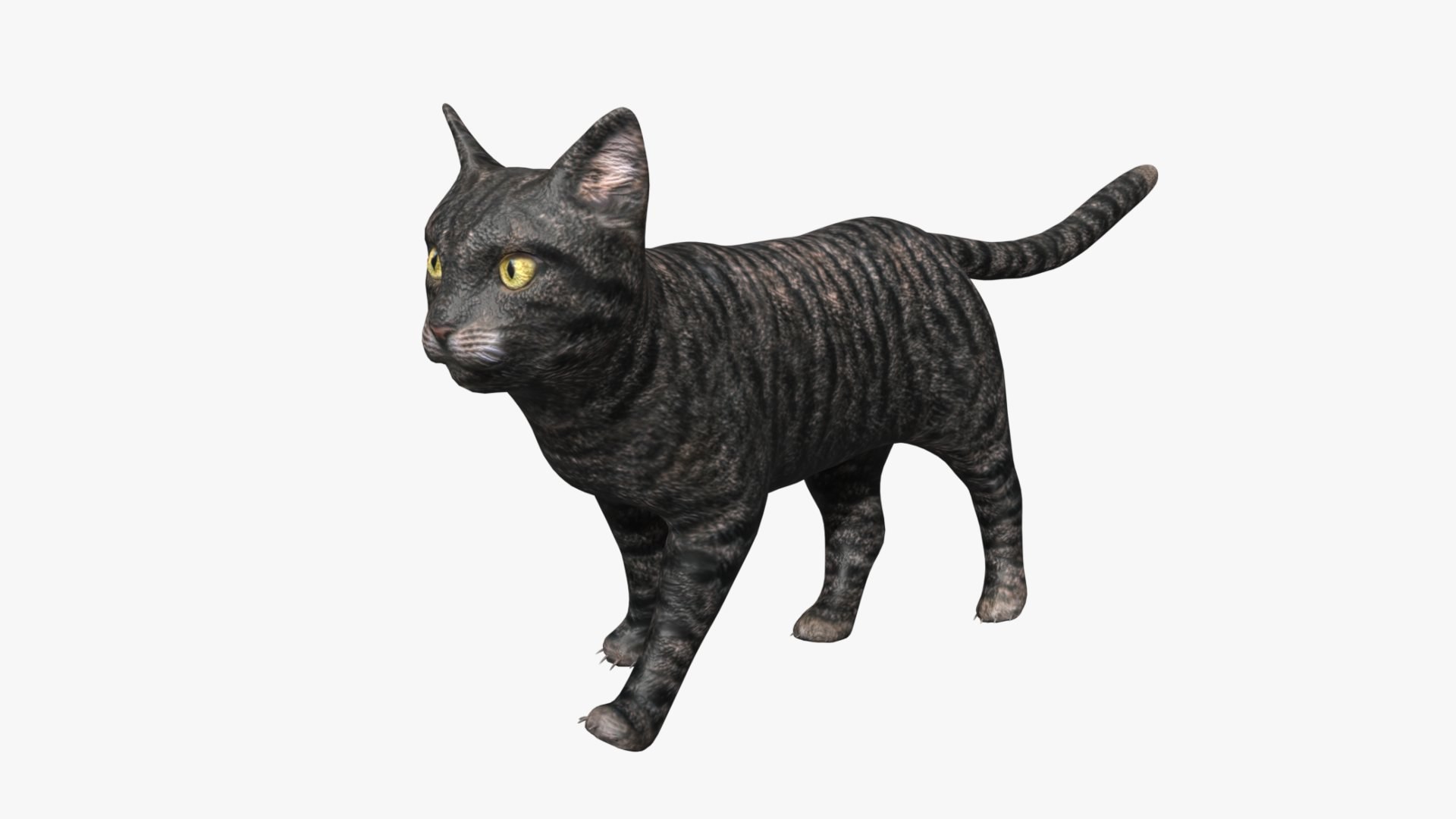 Rigged Cat 3D Model - TurboSquid 1779406