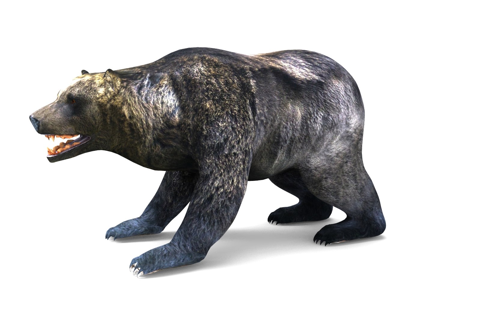 Brown Bear Animation Model - TurboSquid 1224270