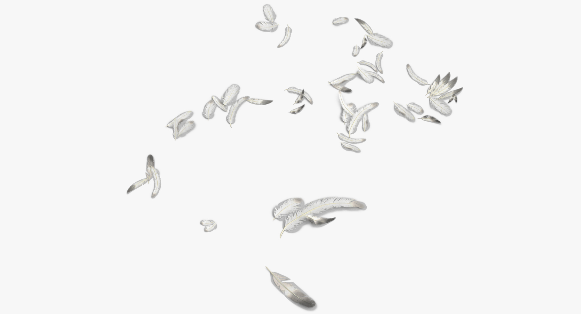 3D model scattered feathers small - TurboSquid 1359055