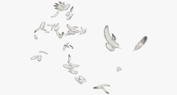 3D model scattered feathers small - TurboSquid 1359055