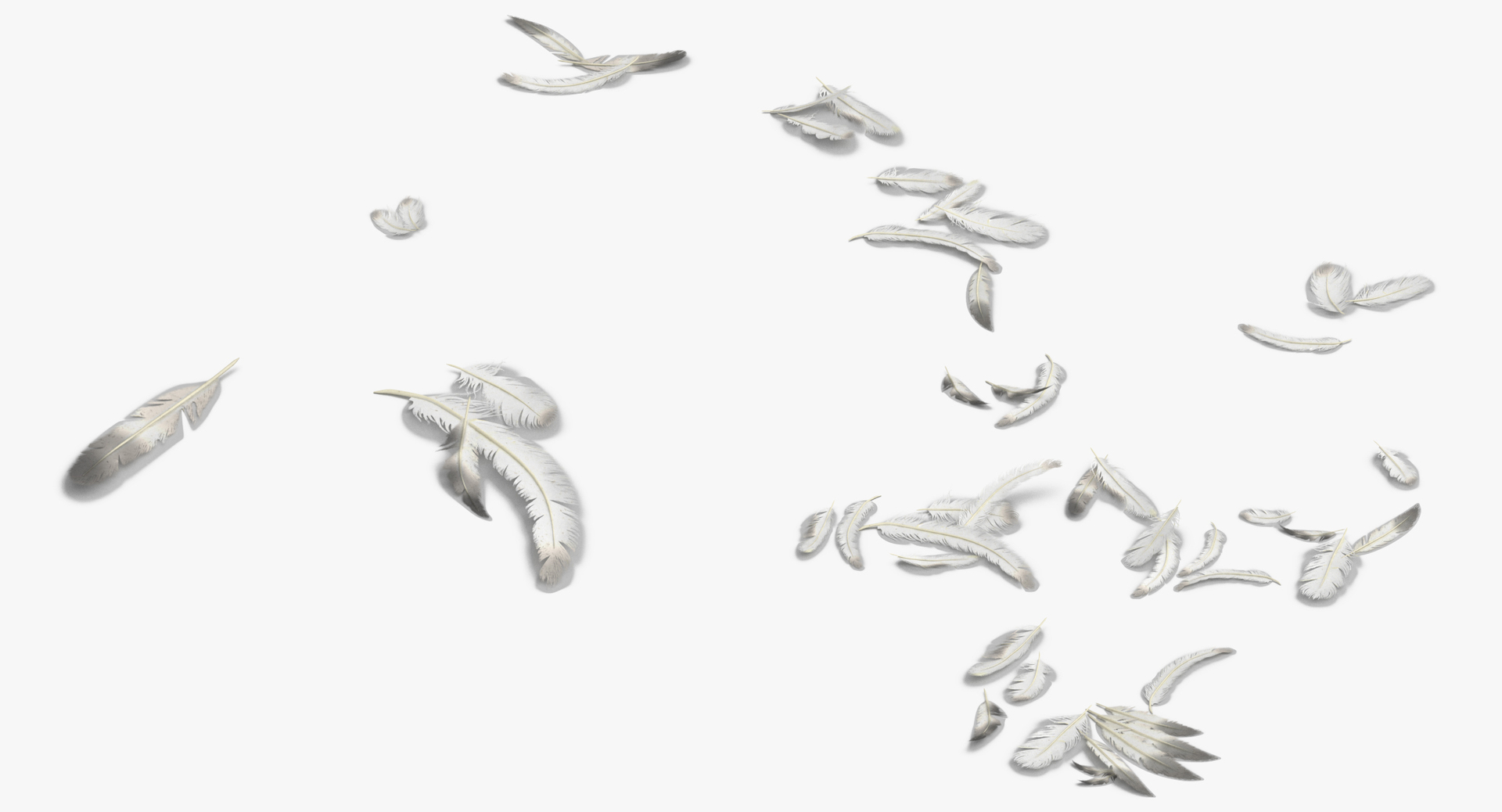3D model scattered feathers small - TurboSquid 1359055