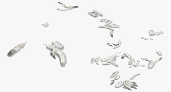 3D model scattered feathers small - TurboSquid 1359055