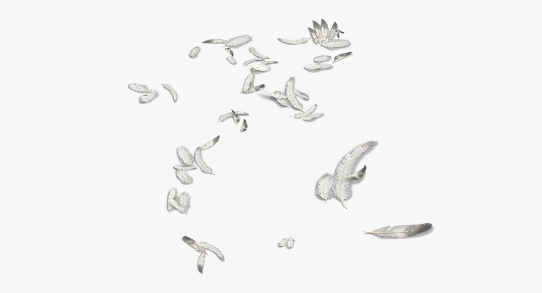 3D model scattered feathers small - TurboSquid 1359055