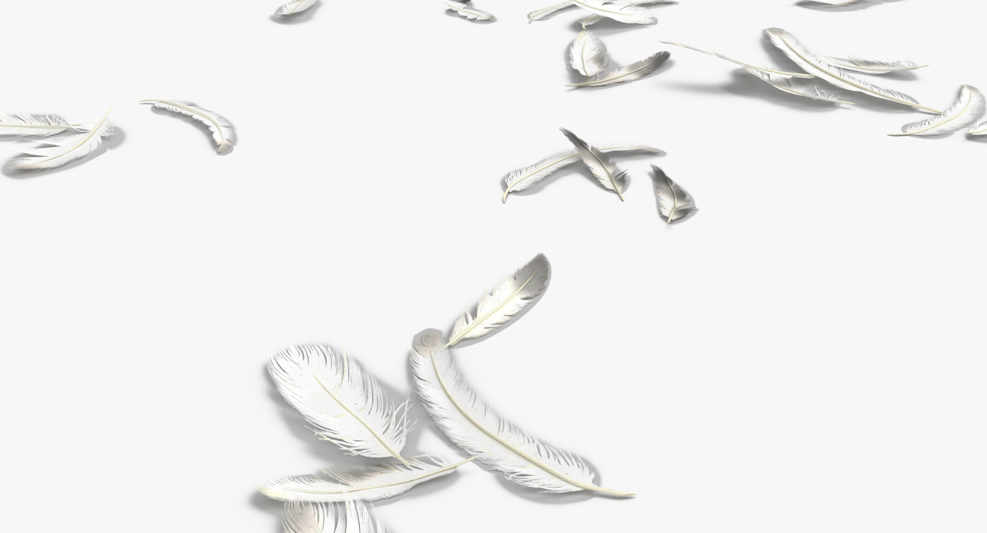 3D model scattered feathers small - TurboSquid 1359055