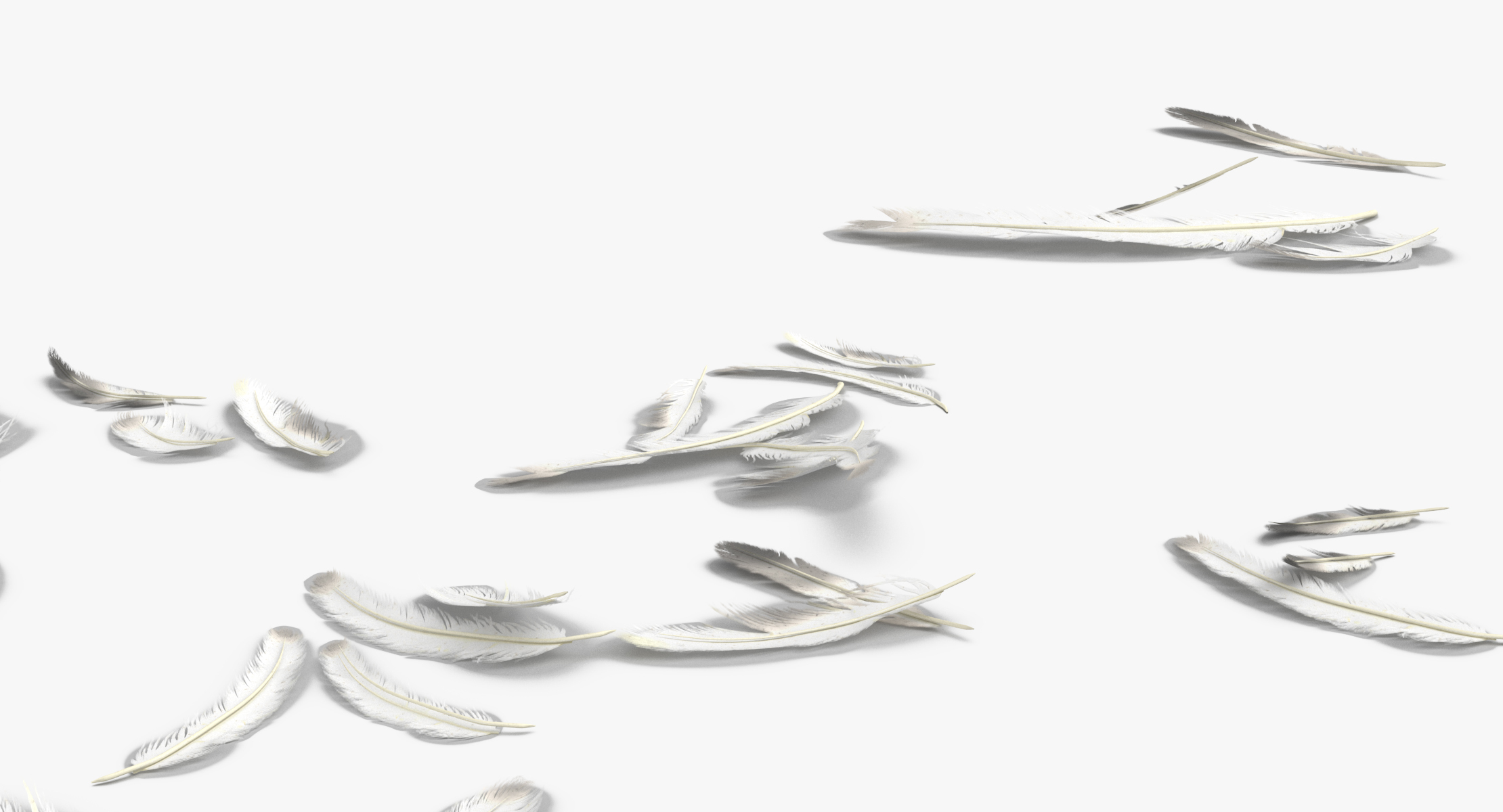 3D model scattered feathers small - TurboSquid 1359055