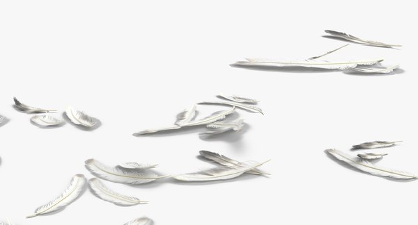 3D model scattered feathers small - TurboSquid 1359055