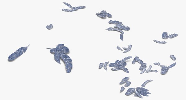 3D model scattered feathers small - TurboSquid 1359055