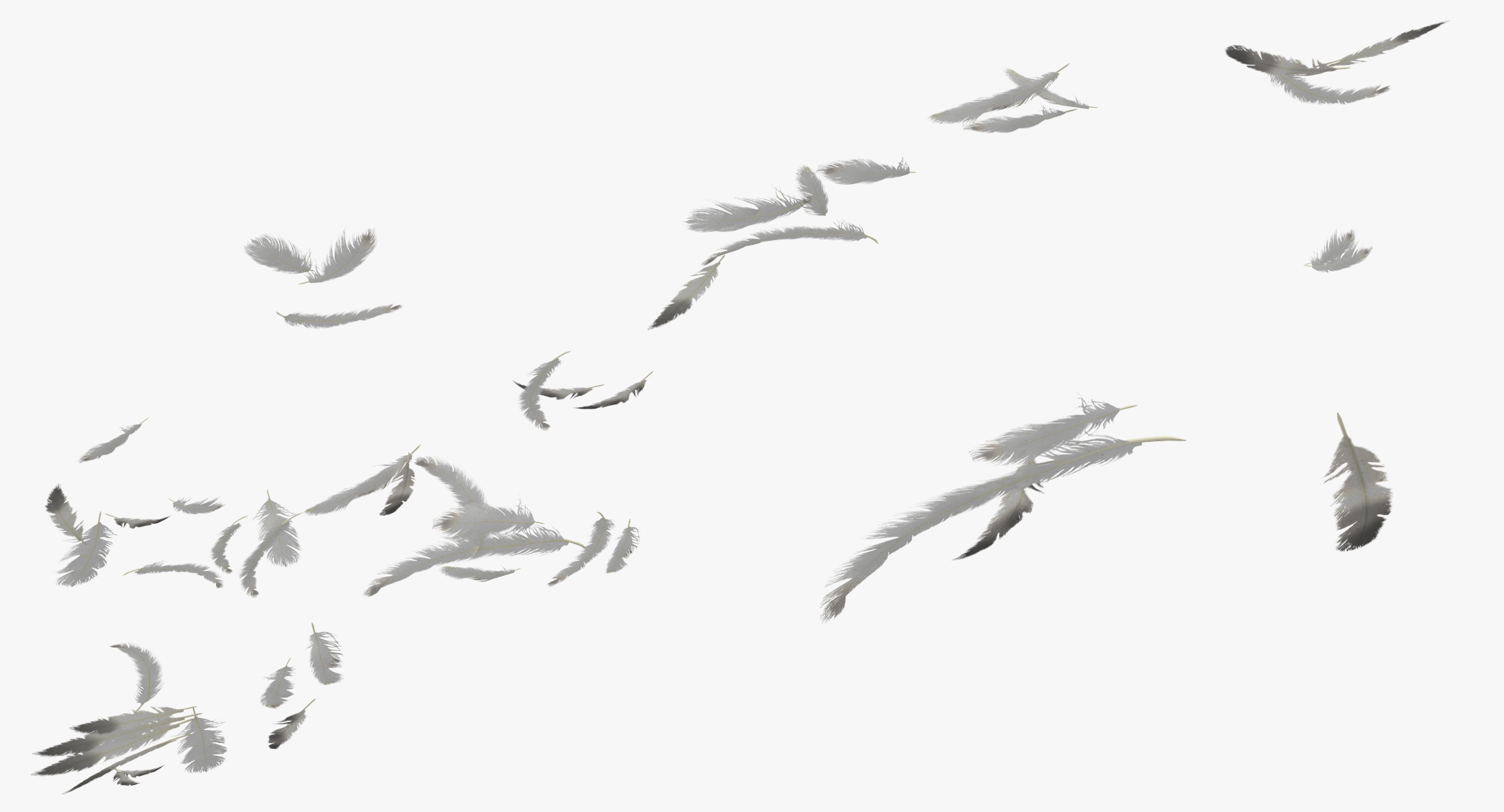 3D model scattered feathers small - TurboSquid 1359055