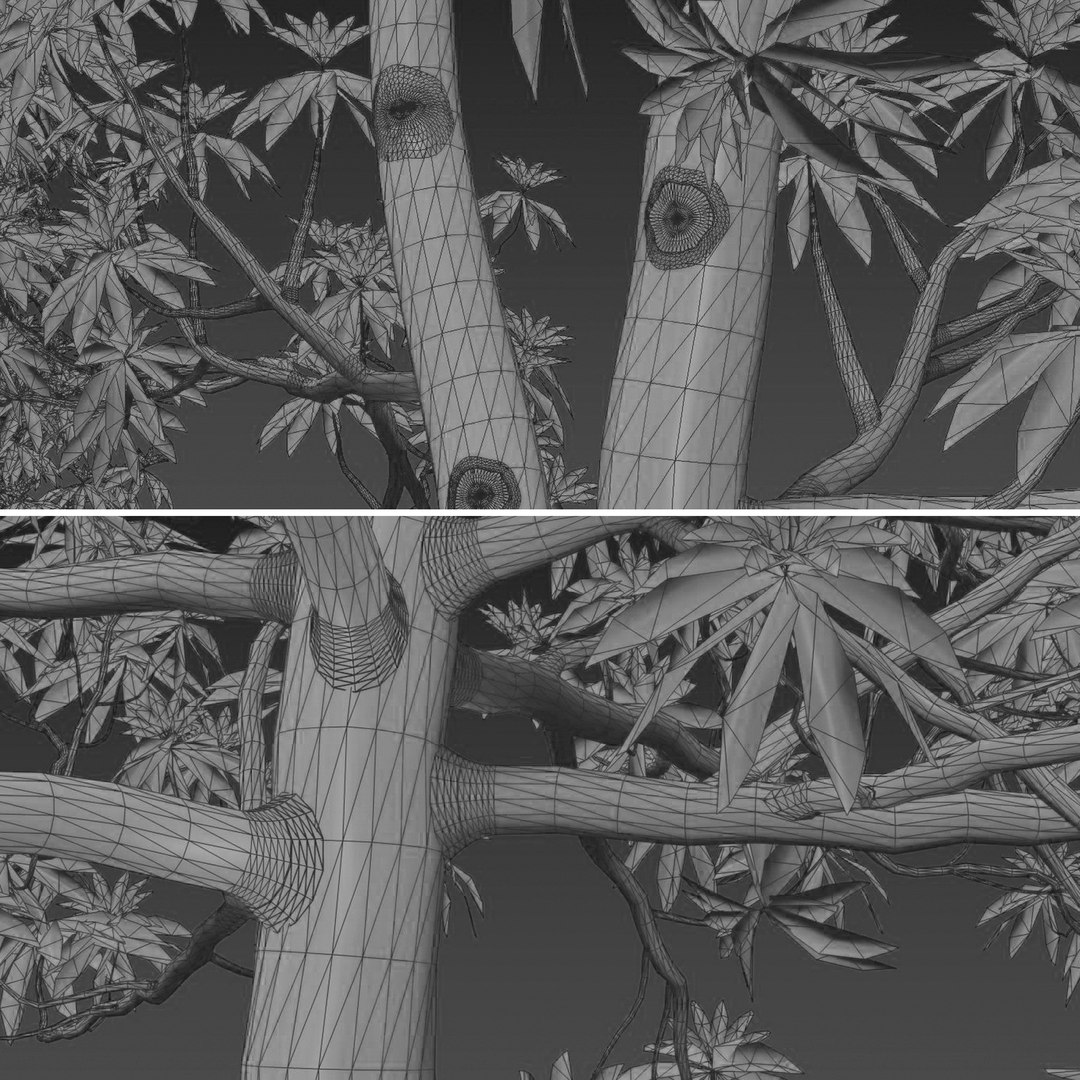 Set Of Daphniphyllum Macropodum Or False Daphne Trees 3D Model ...