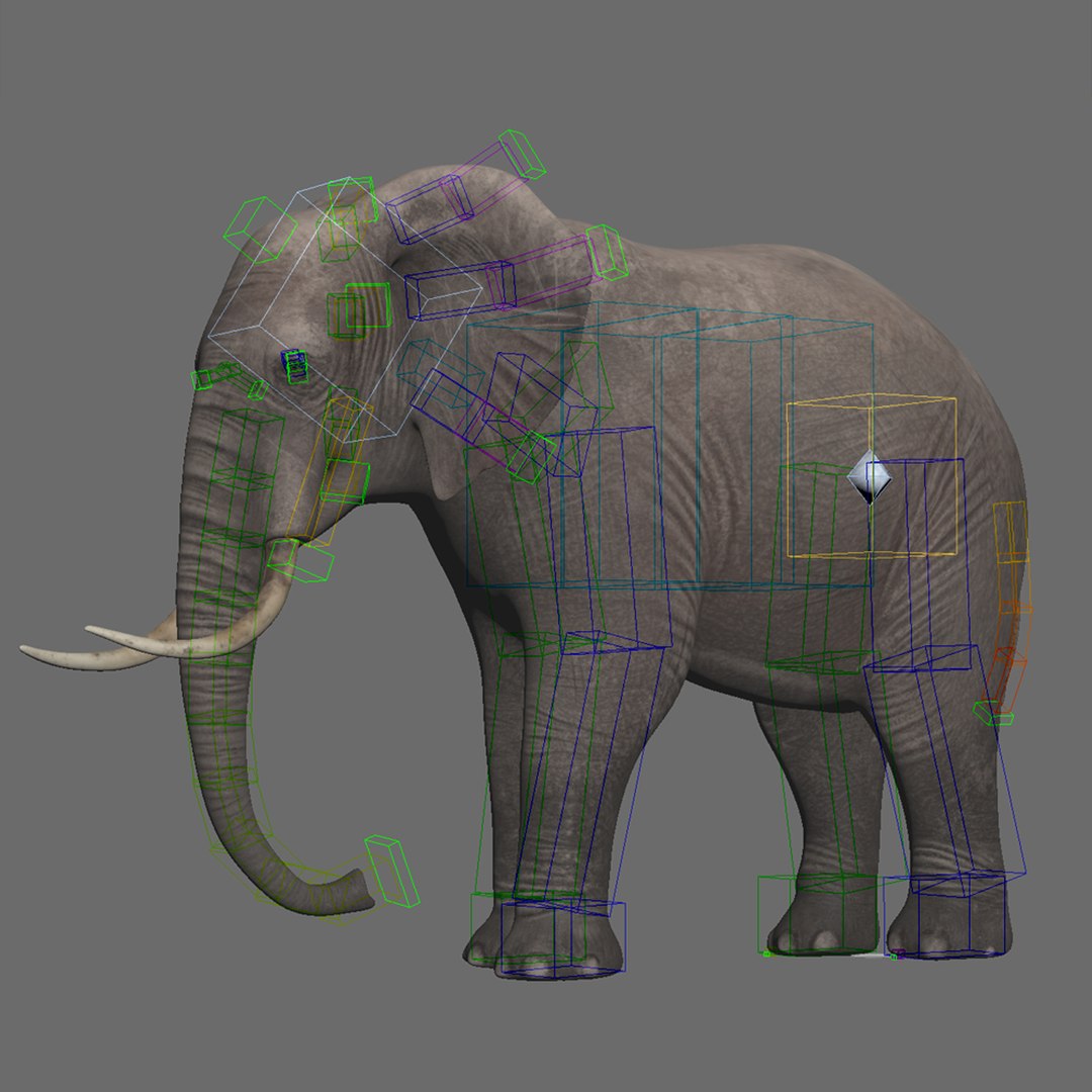 Elephant rigging animation 3D model - TurboSquid 1214497