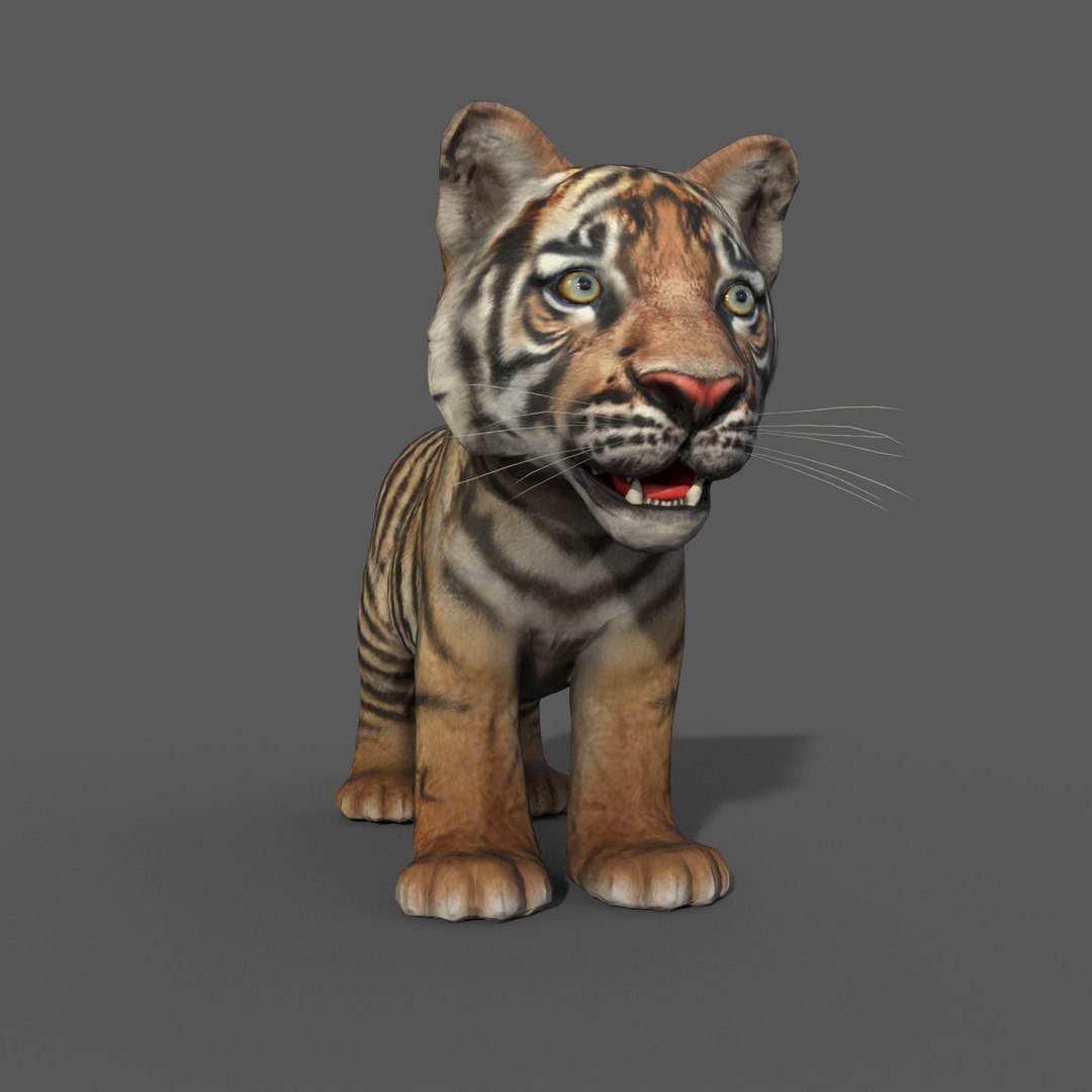 3D tiger baby - TurboSquid 1246435