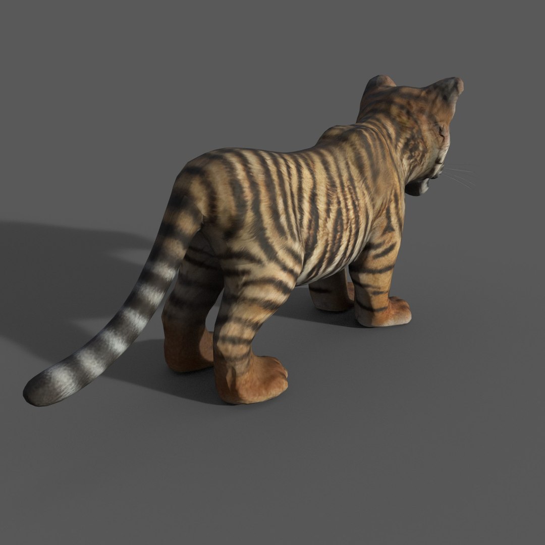 3D tiger baby - TurboSquid 1246435