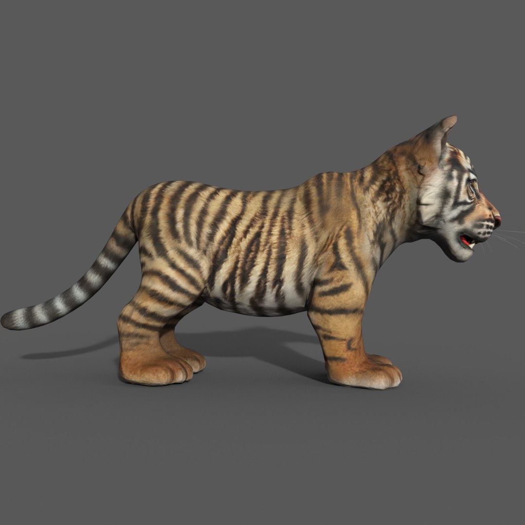 3D tiger baby - TurboSquid 1246435