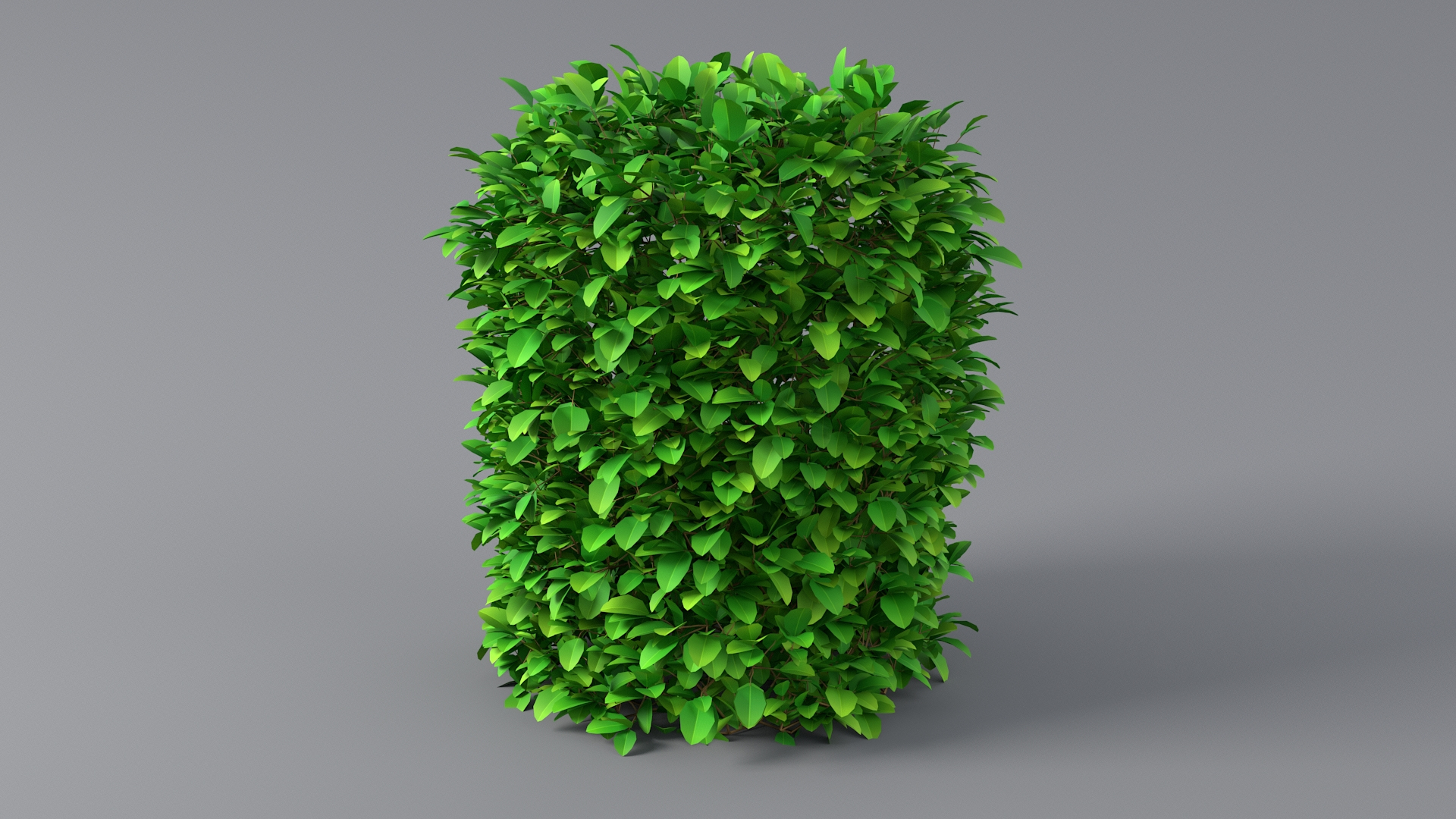 3D Cartoon Bush 08 Model - TurboSquid 1941426