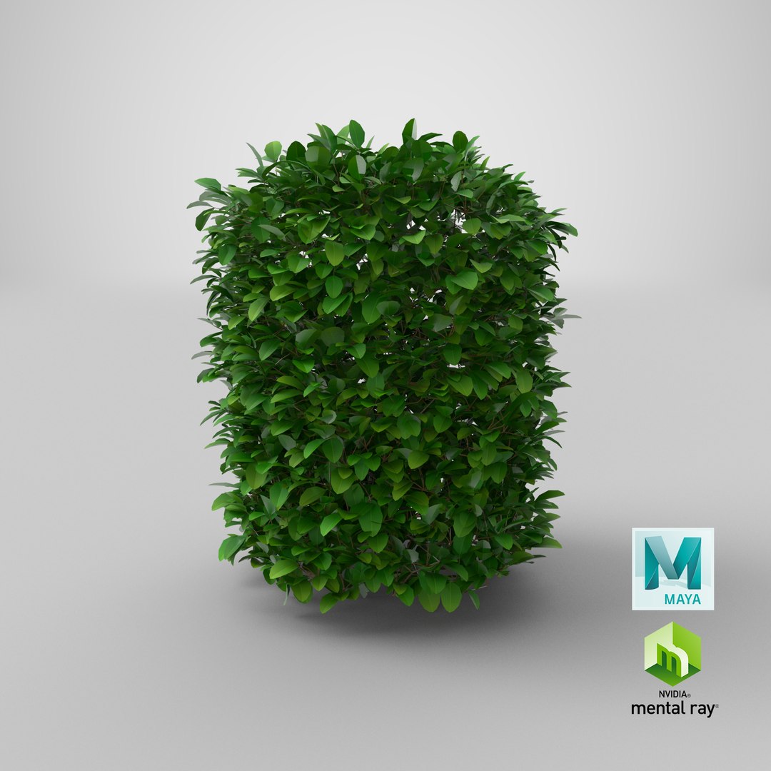3D Cartoon Bush 08 Model - TurboSquid 1941426