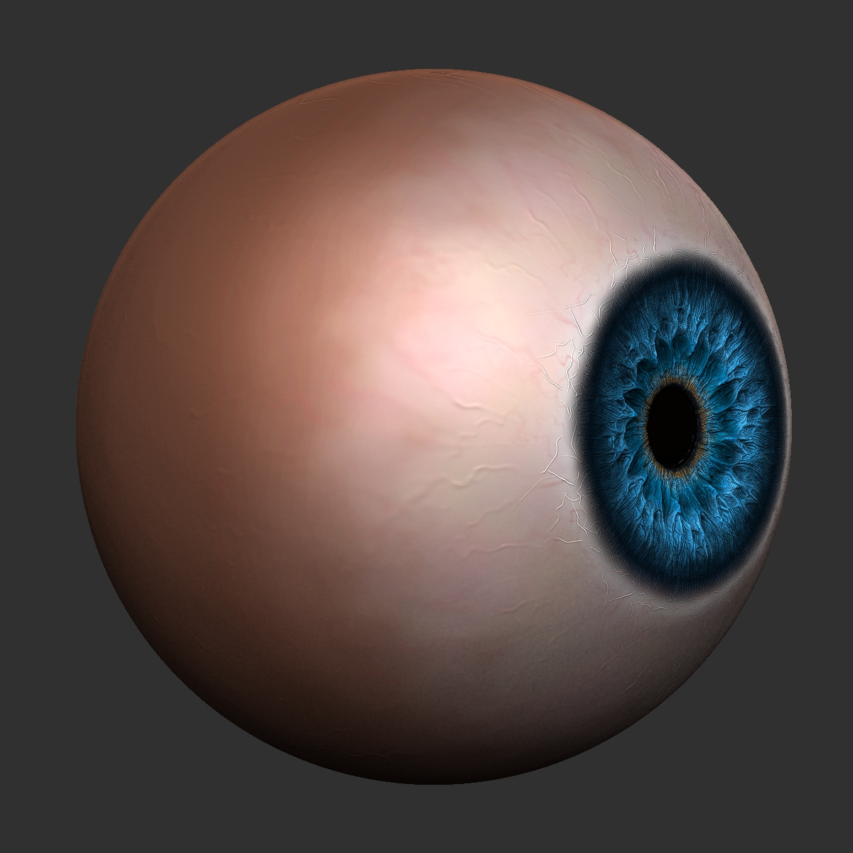 Eye realistic colored 3D model - TurboSquid 1212367