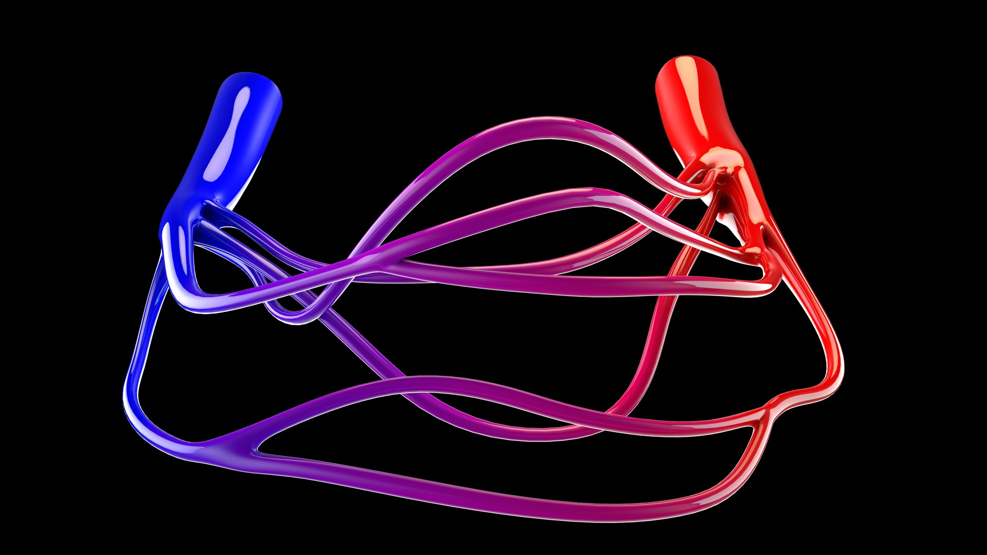 Capillary Blood Exchange 3D Model - TurboSquid 2189011
