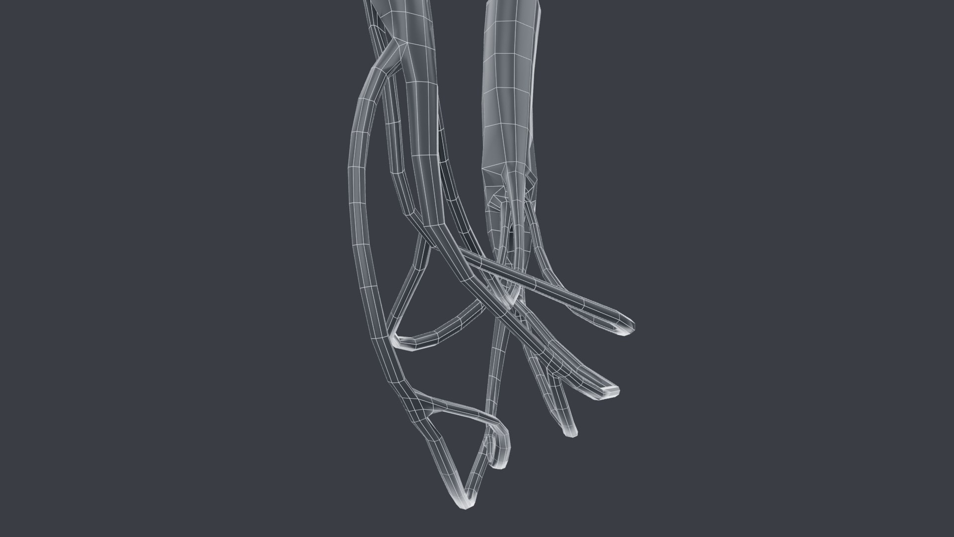 Capillary Blood Exchange 3D Model - TurboSquid 2189011