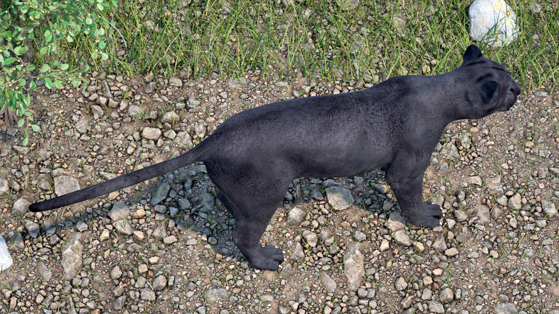 Black Panther Model - TurboSquid 2215815