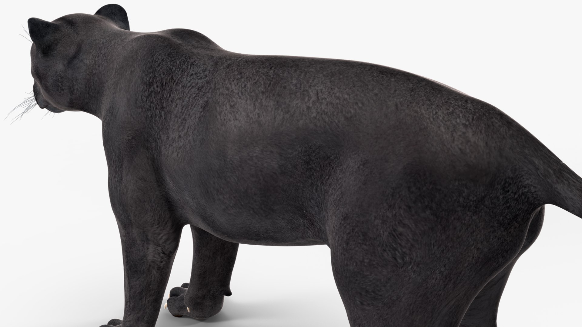 Black Panther Model - TurboSquid 2215815