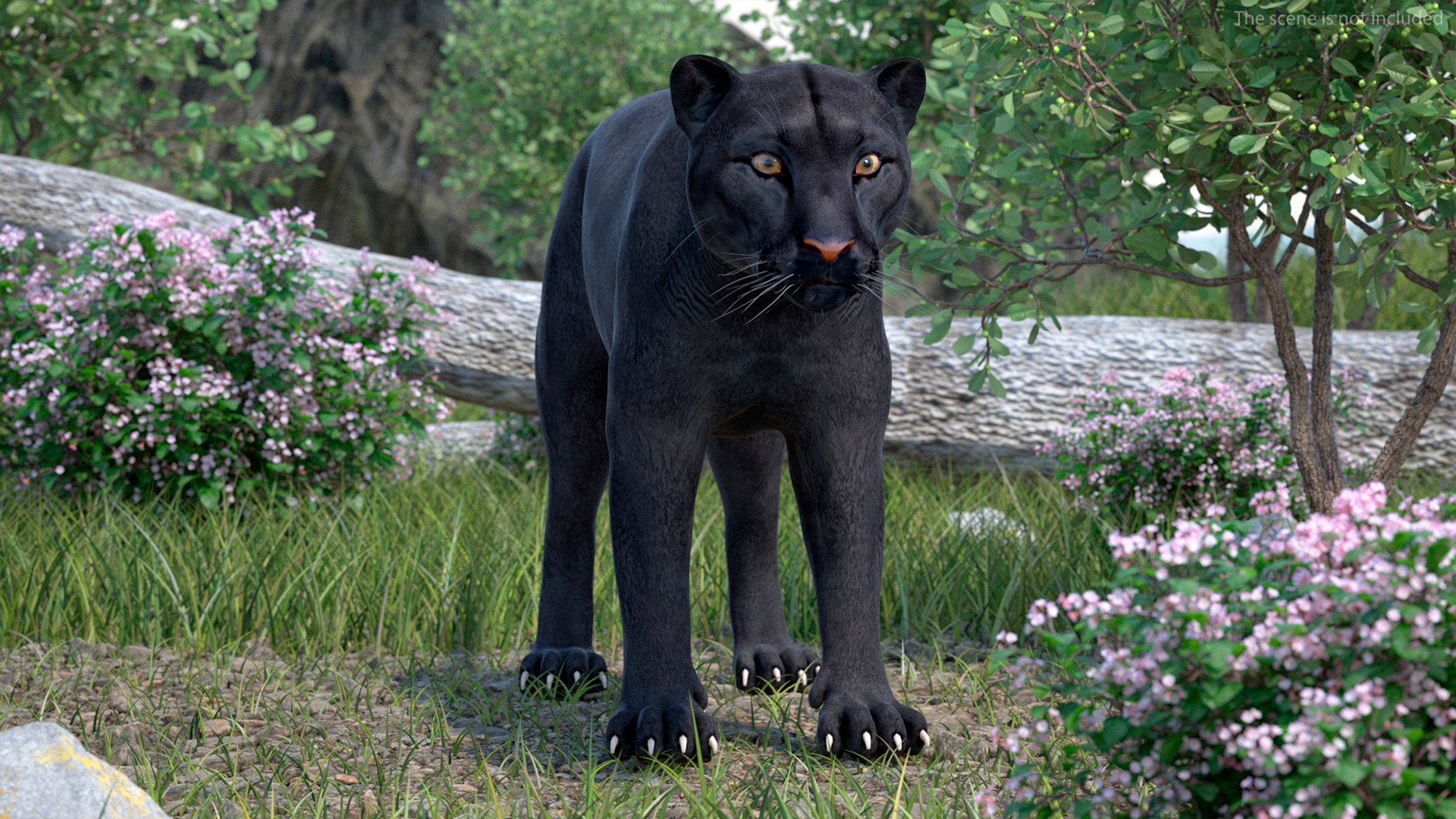 Black Panther Model - TurboSquid 2215815