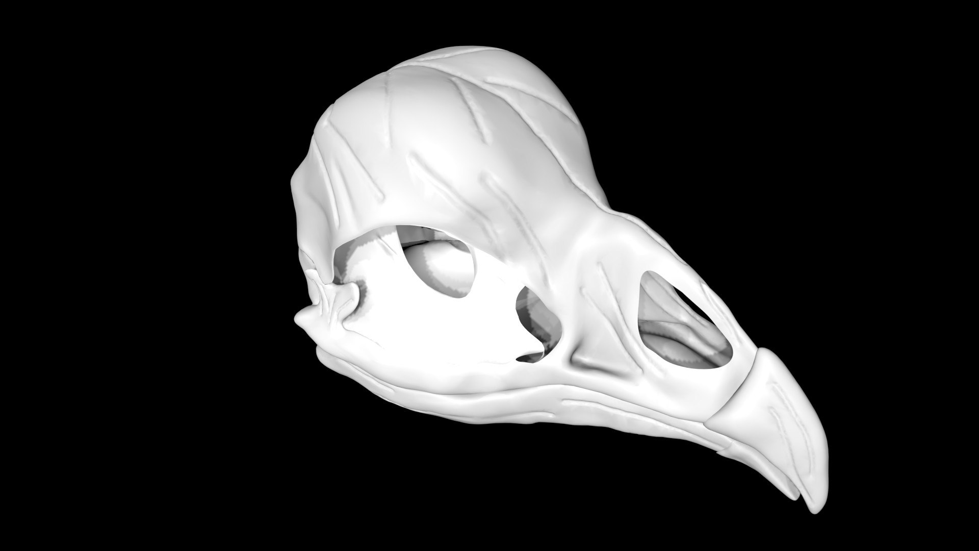 3D Chicken Skull - TurboSquid 1890642