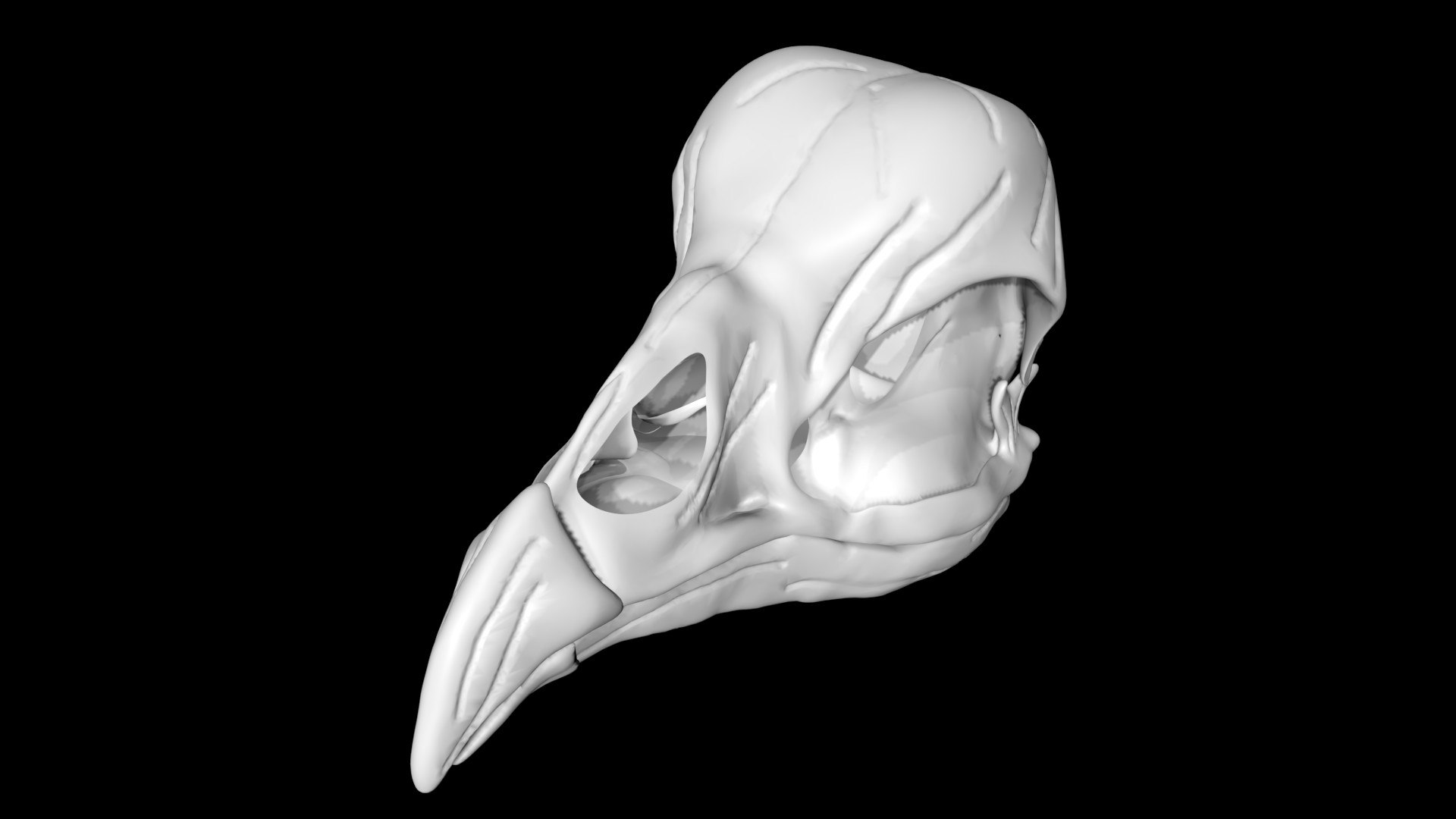 3D Chicken Skull - TurboSquid 1890642