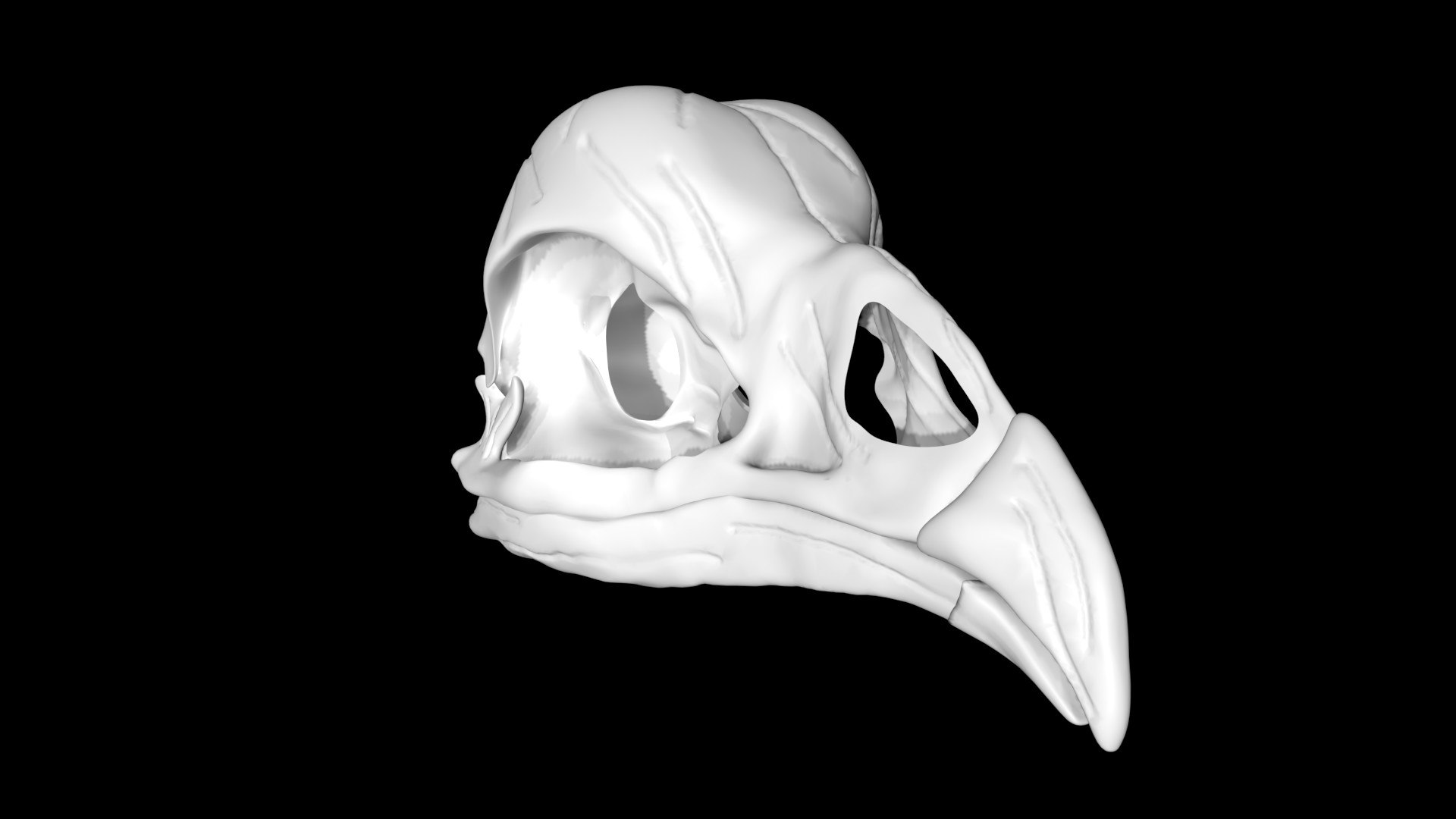 3D Chicken Skull - TurboSquid 1890642