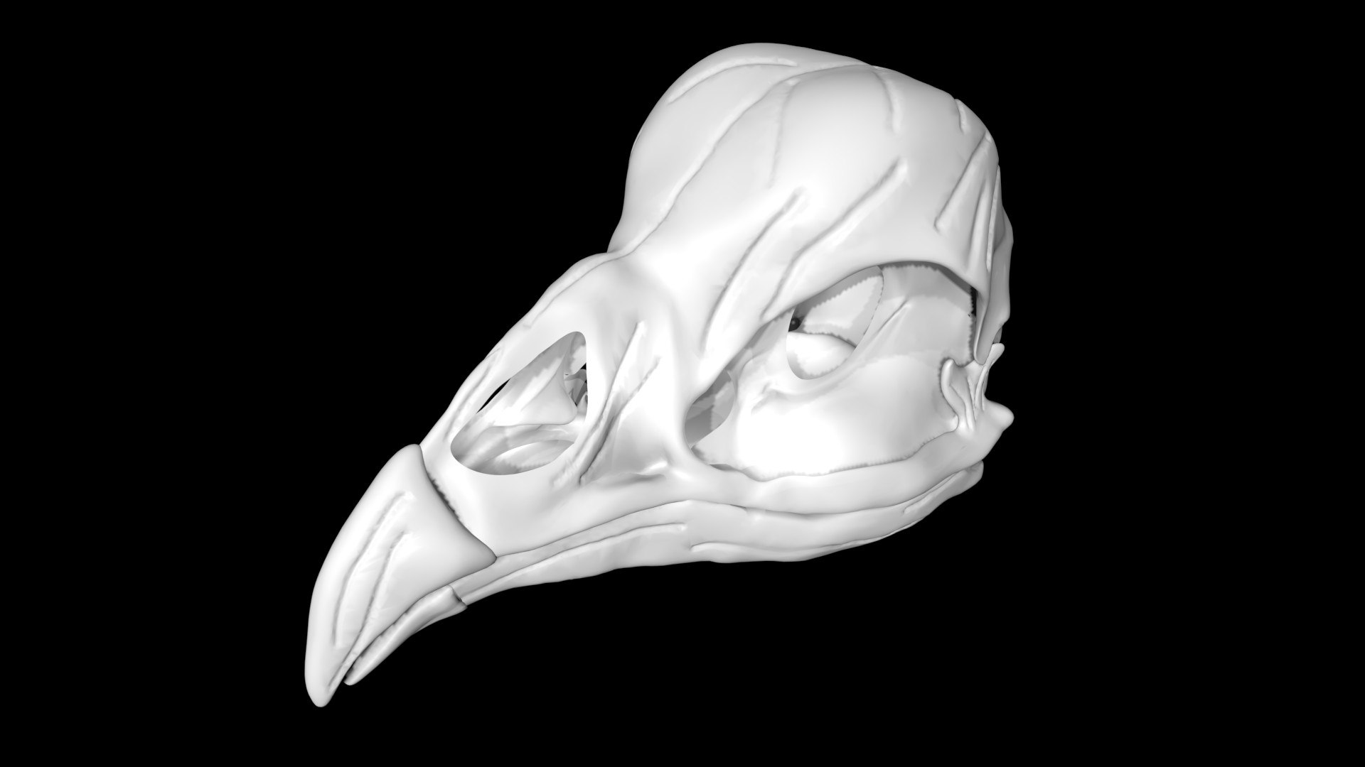 3D Chicken Skull - TurboSquid 1890642