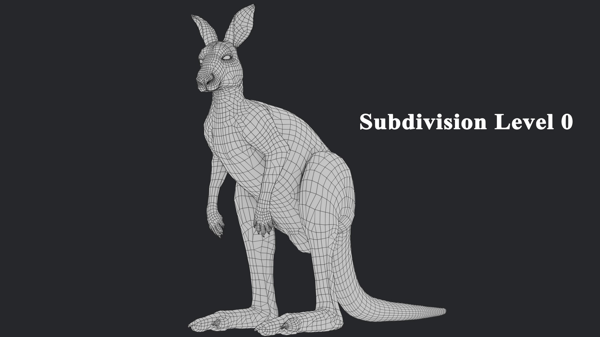 Kangaroo model - TurboSquid 1758130