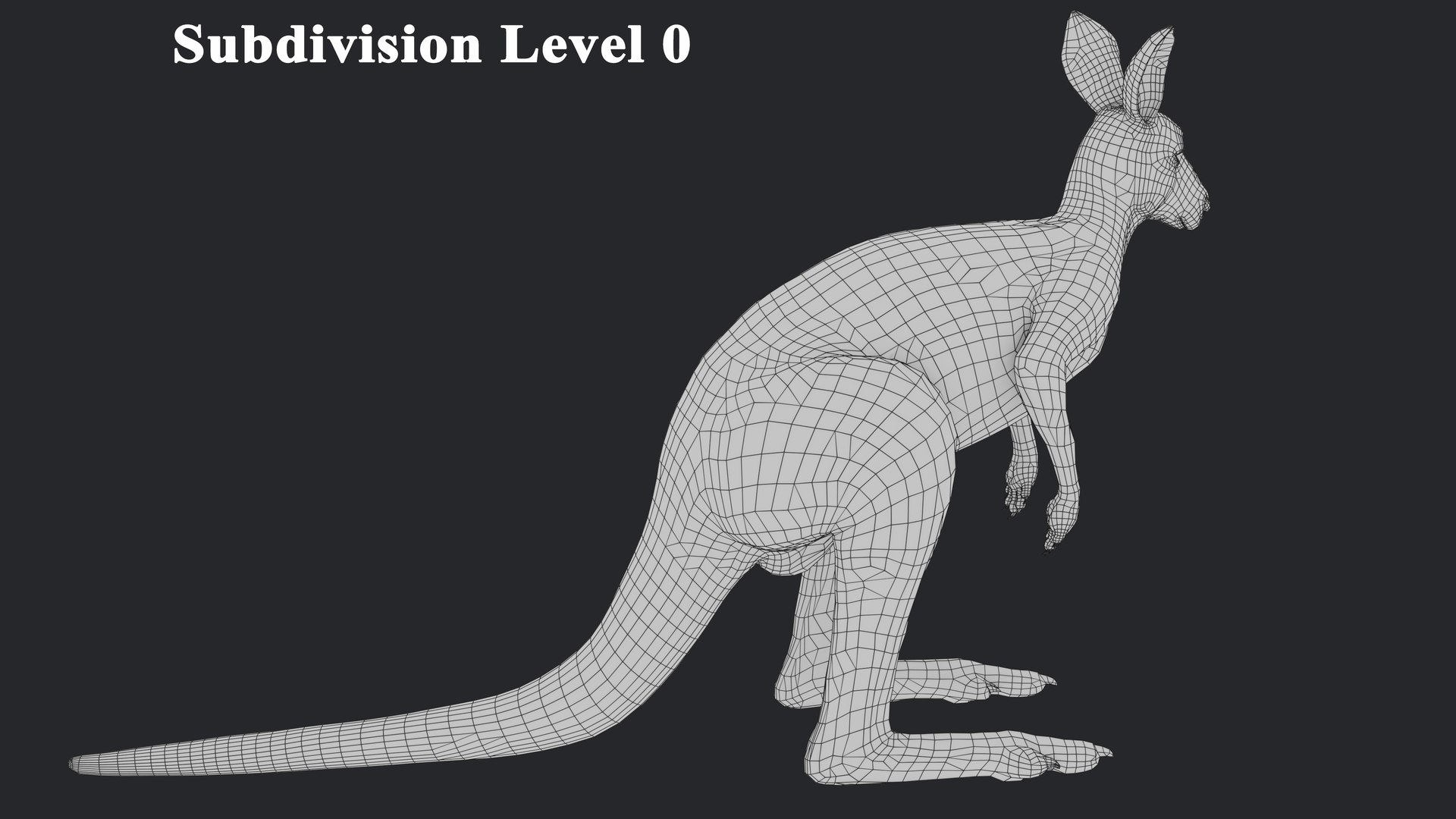 Kangaroo model - TurboSquid 1758130