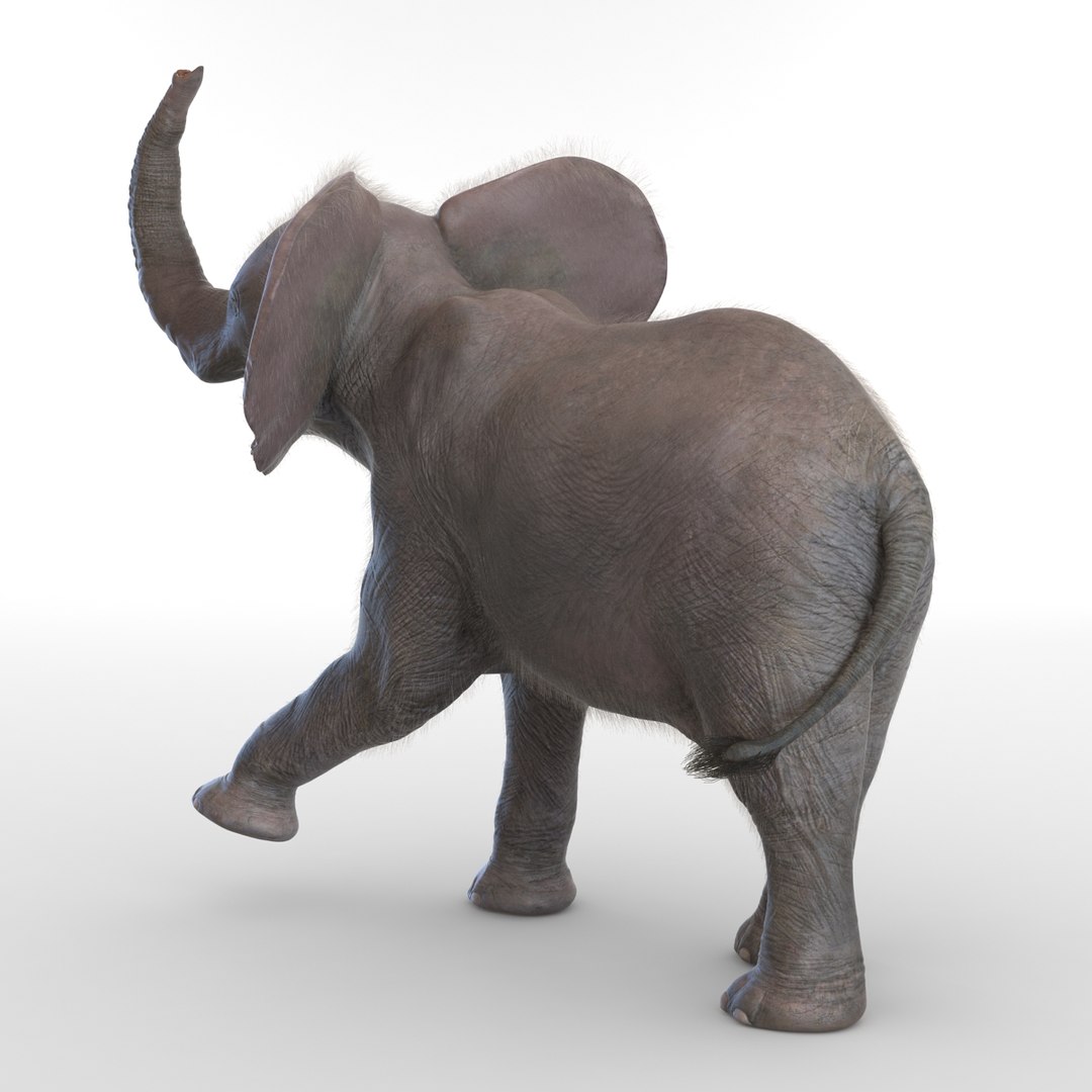 baby elephant rigged fur x