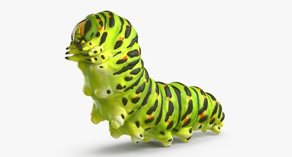 3d caterpillar rigged model