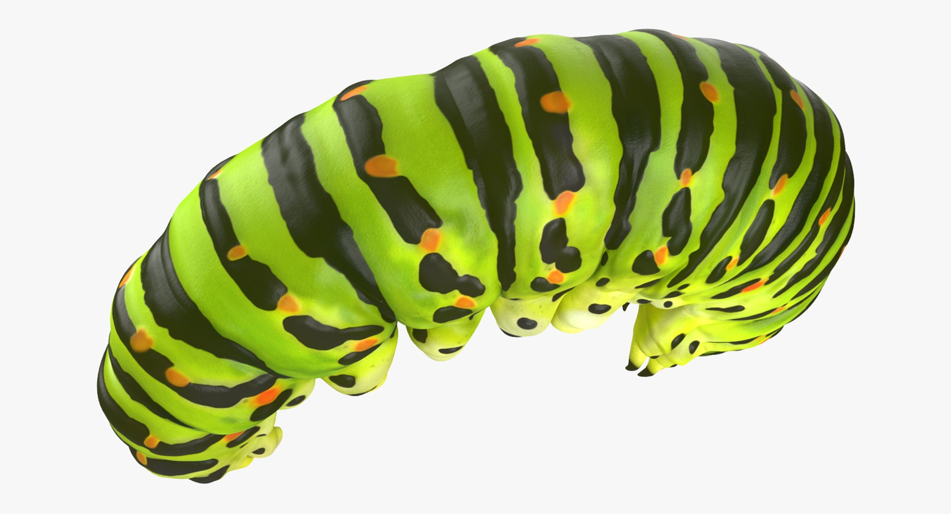 3d caterpillar rigged model