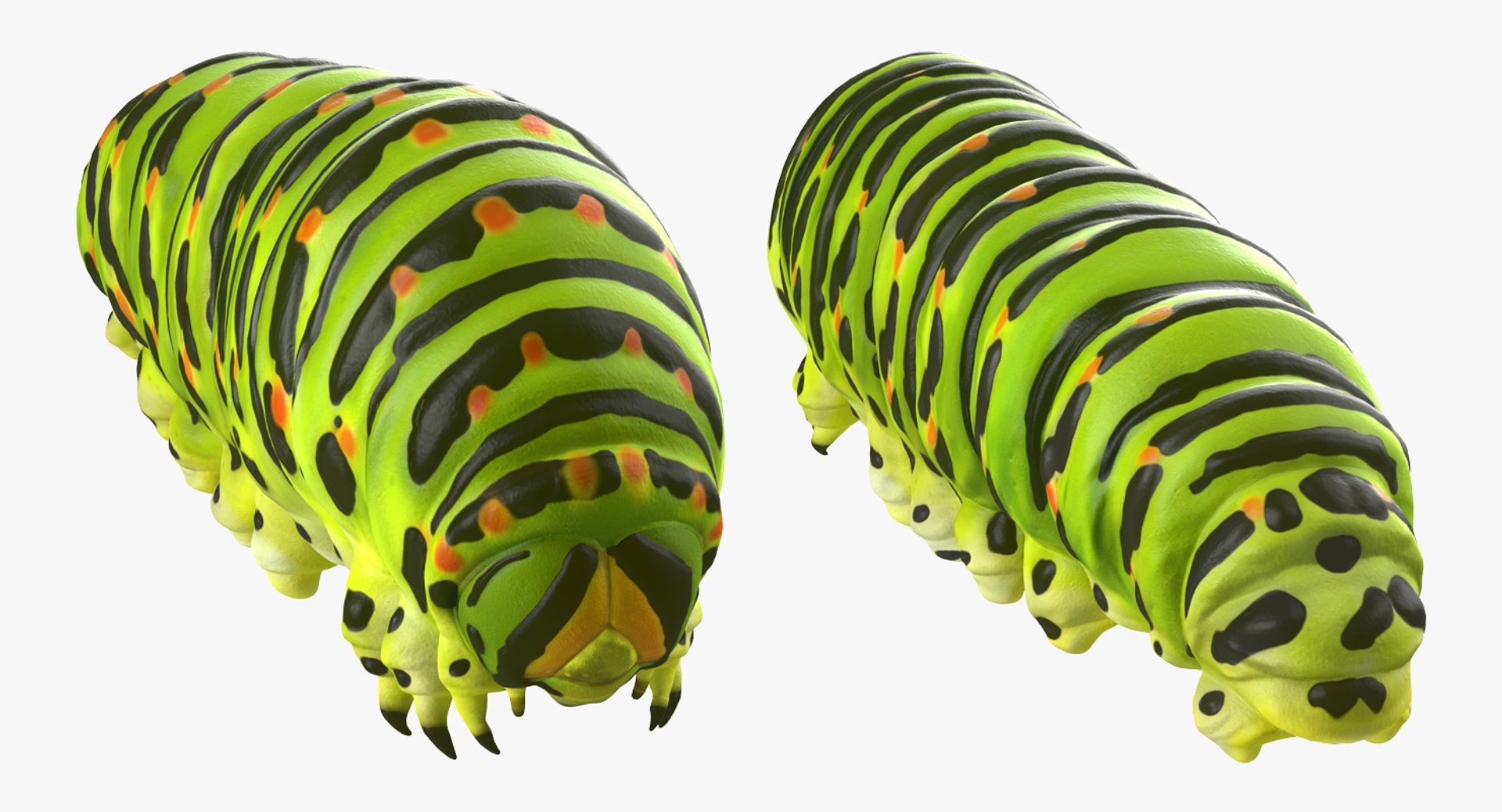 3d caterpillar rigged model