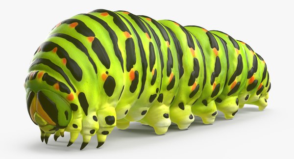 3d caterpillar rigged model