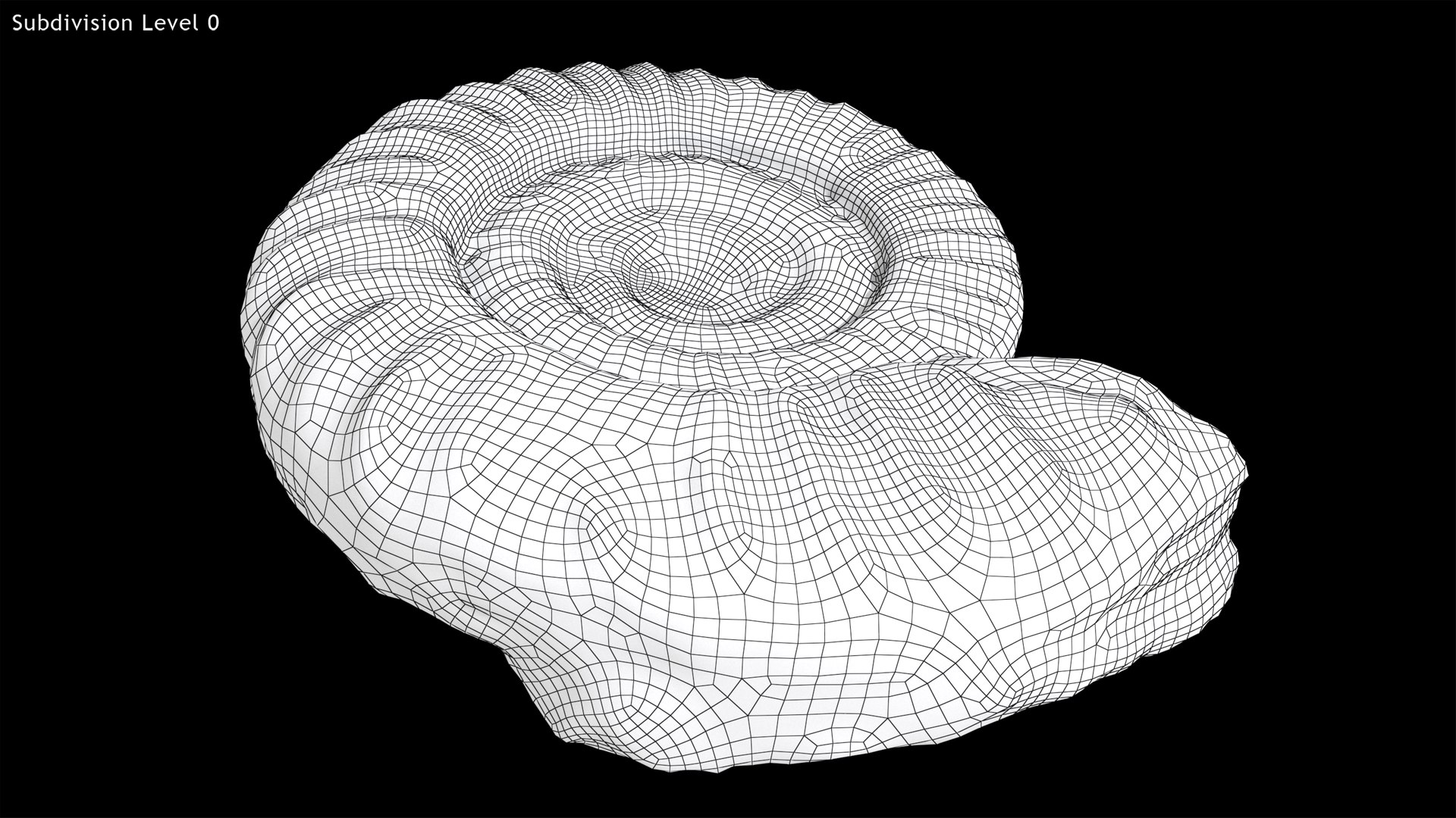3D Ammonite Fossil - Arietites Bucklandi - TurboSquid 2328464
