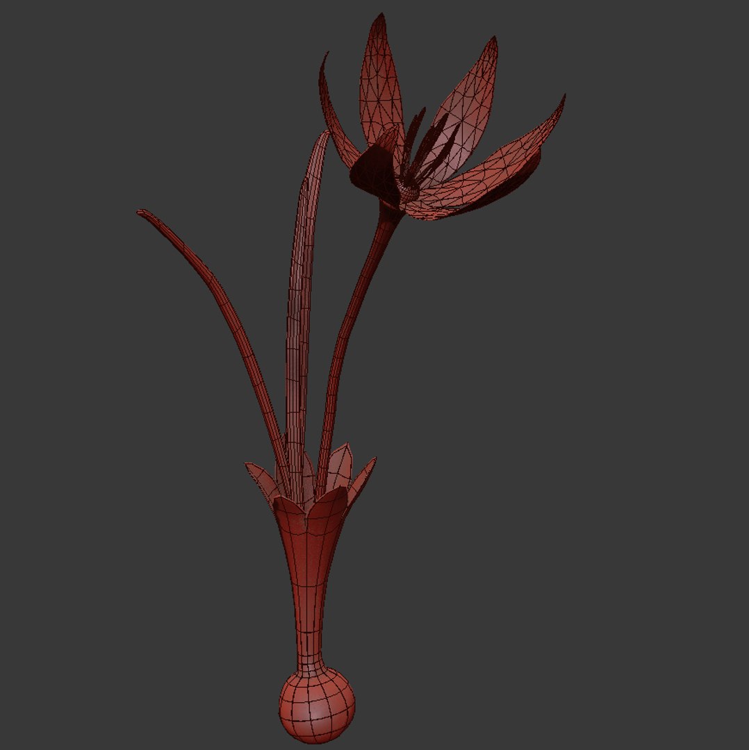 8 Flowers Animation 3D - TurboSquid 1603296
