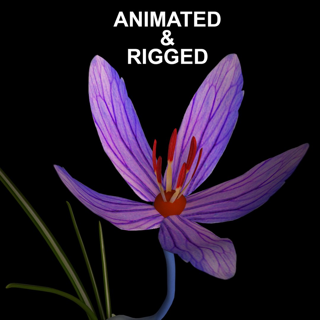 8 flowers animation 3D - TurboSquid 1603296