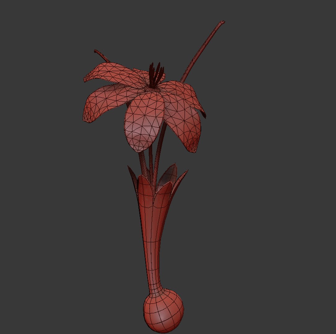 8 flowers animation 3D - TurboSquid 1603296