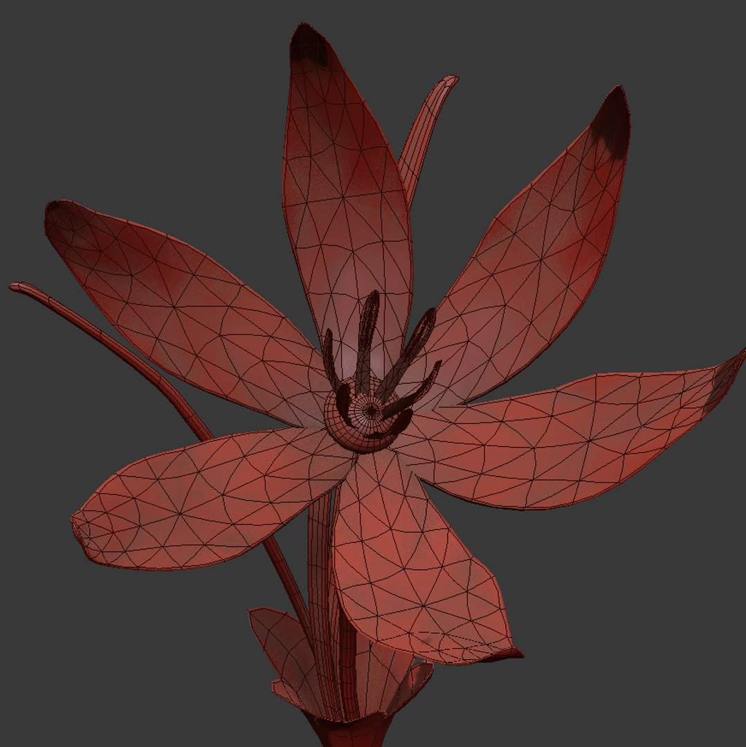 8 Flowers Animation 3D - TurboSquid 1603296