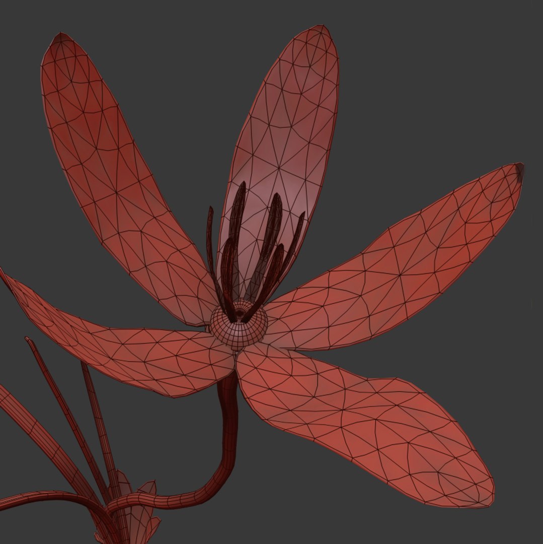 8 Flowers Animation 3D - TurboSquid 1603296