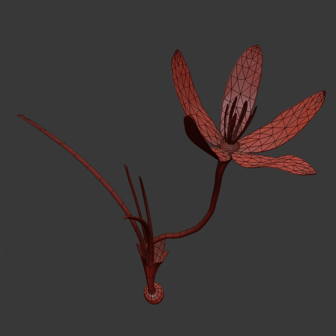 8 Flowers Animation 3D - TurboSquid 1603296