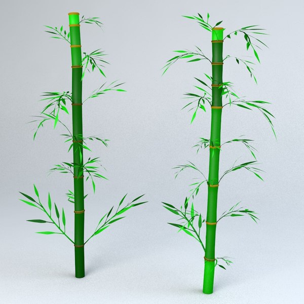Bamboo 3D Models for Download | TurboSquid