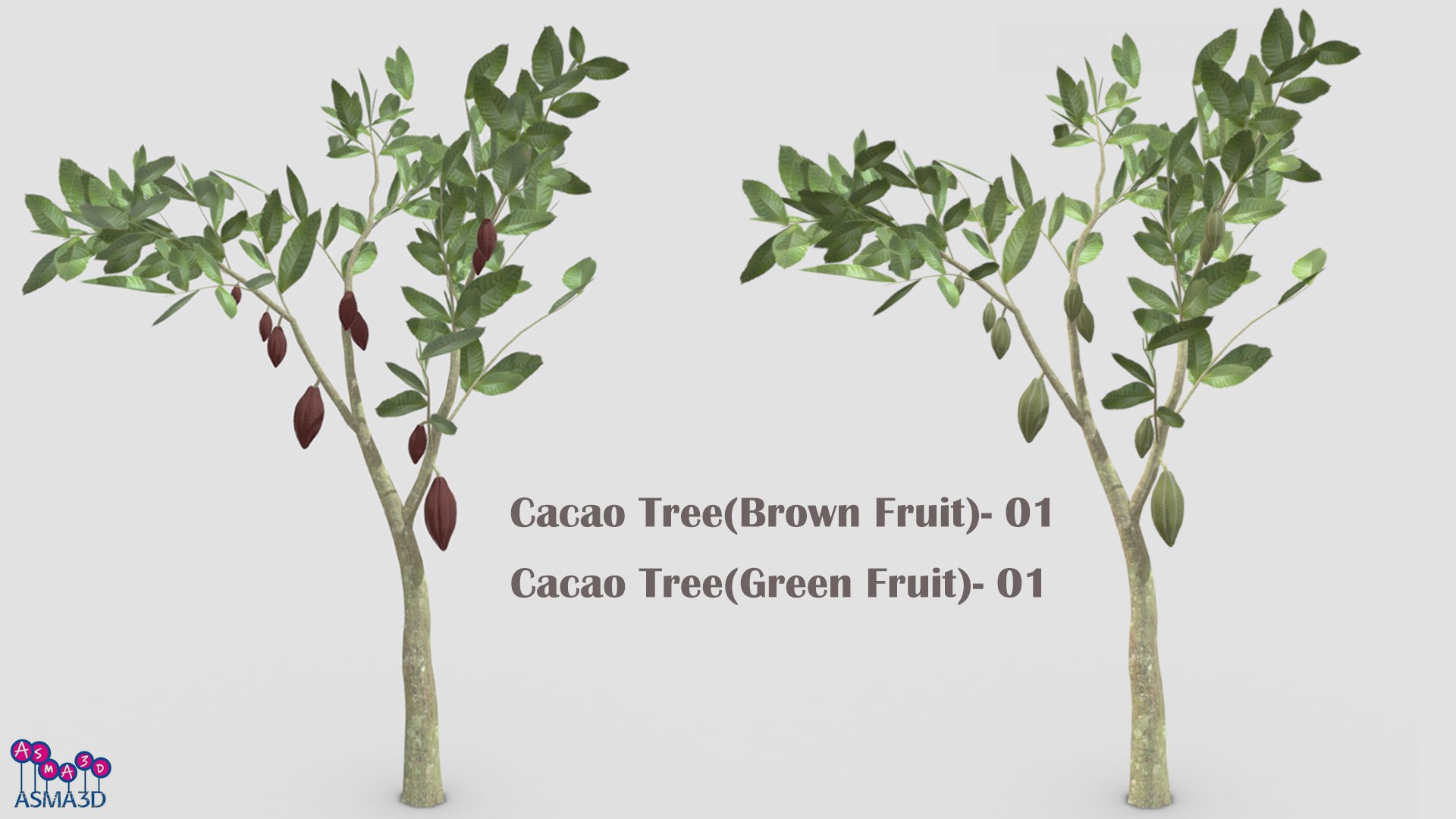 Cacao Tree- 01 3D Model - TurboSquid 2202600