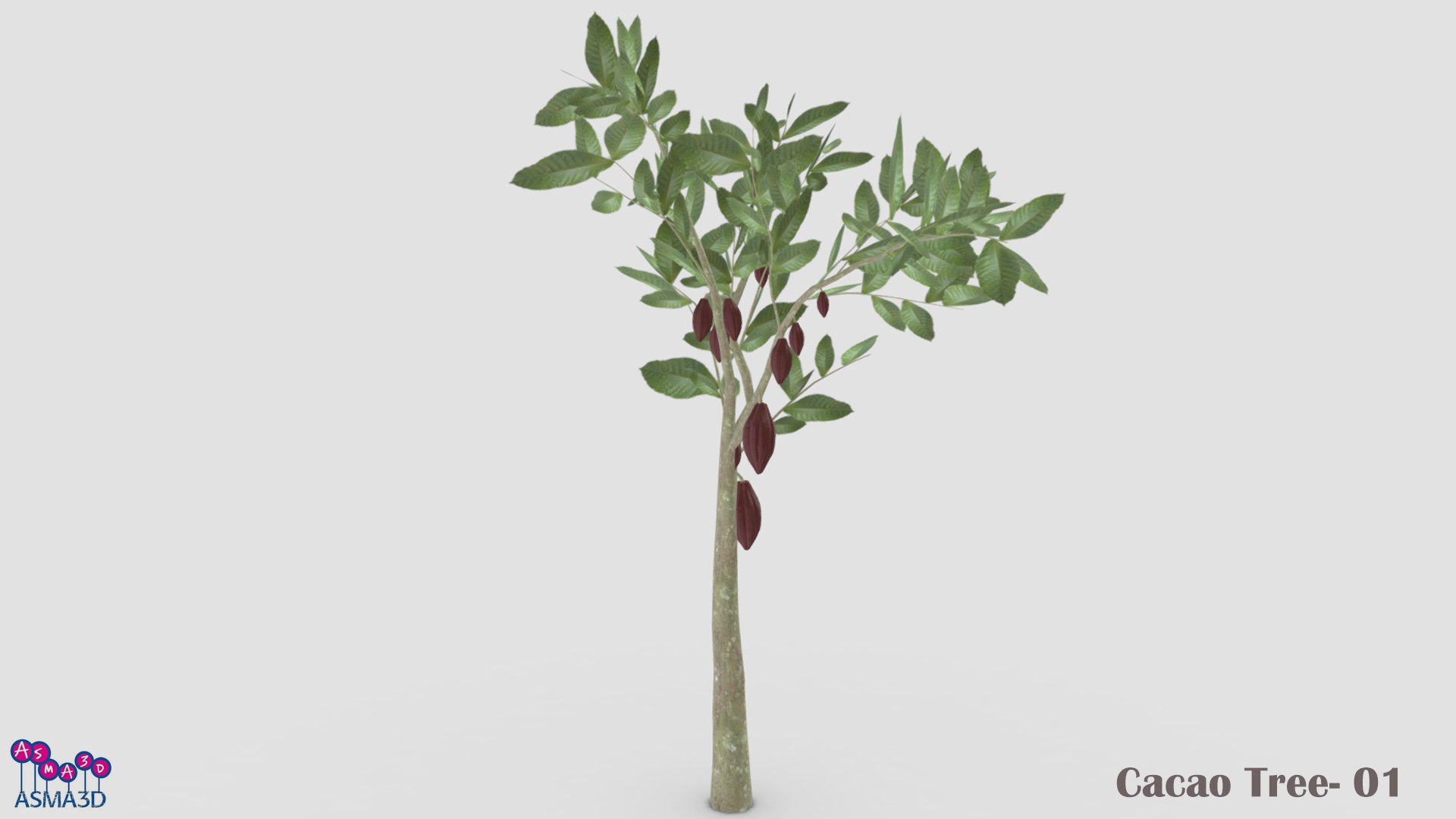 Cacao Tree- 01 3D Model - TurboSquid 2202600